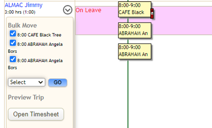 Daily Roster View - Using Bulk Move Function – TurnPoint Knowledge Base