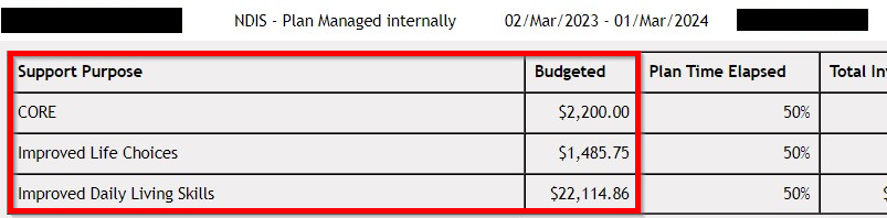 NDIS Invoice Tracker – TurnPoint Knowledge Base